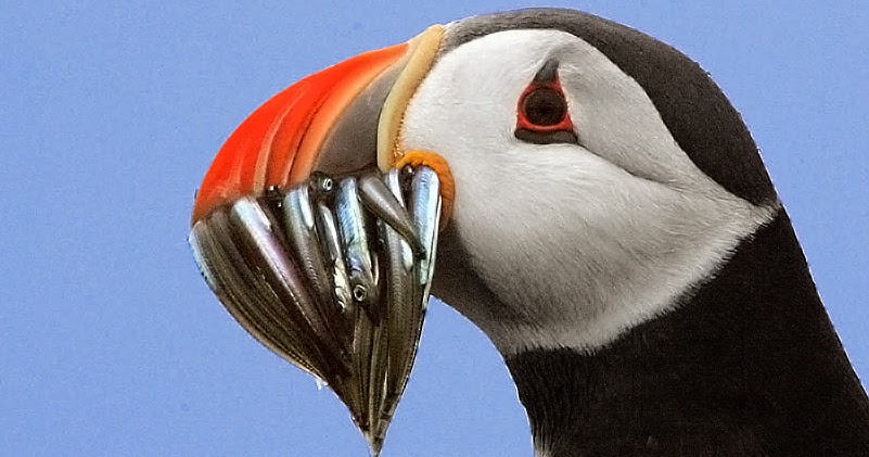 INTERESTING BEHAVIORS