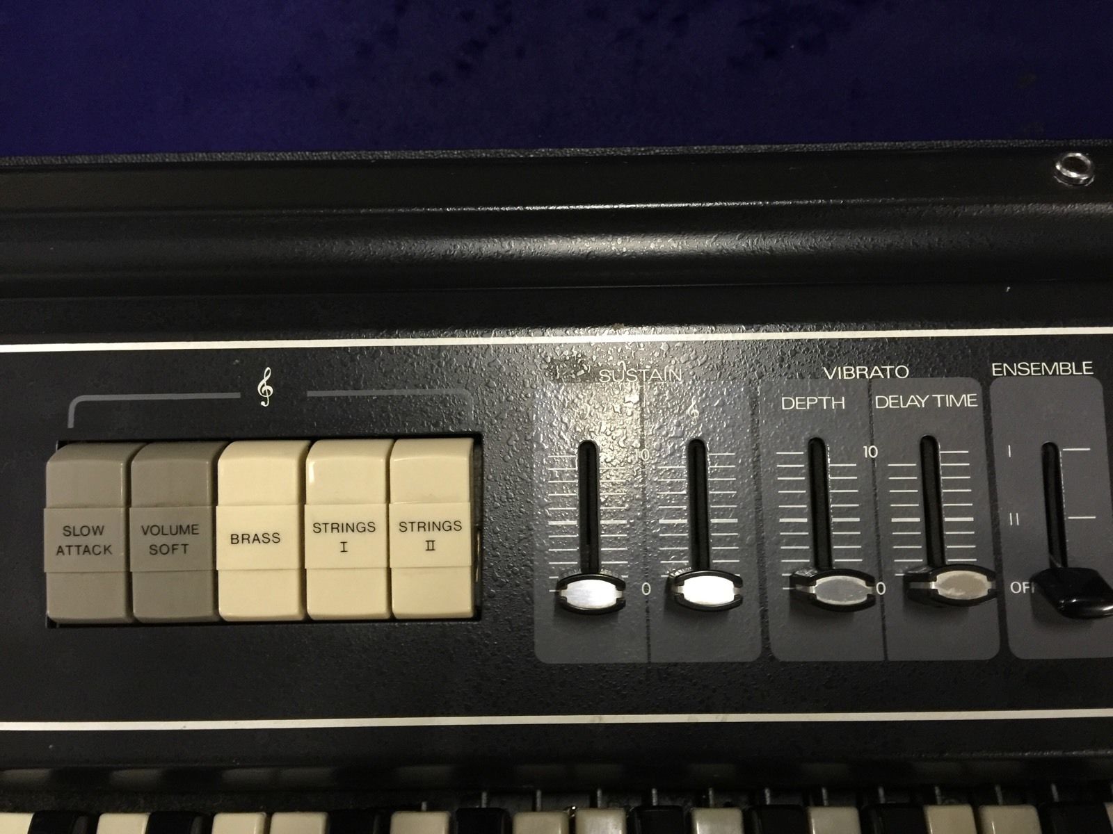 MATRIXSYNTH: Roland RS-202 String Synth