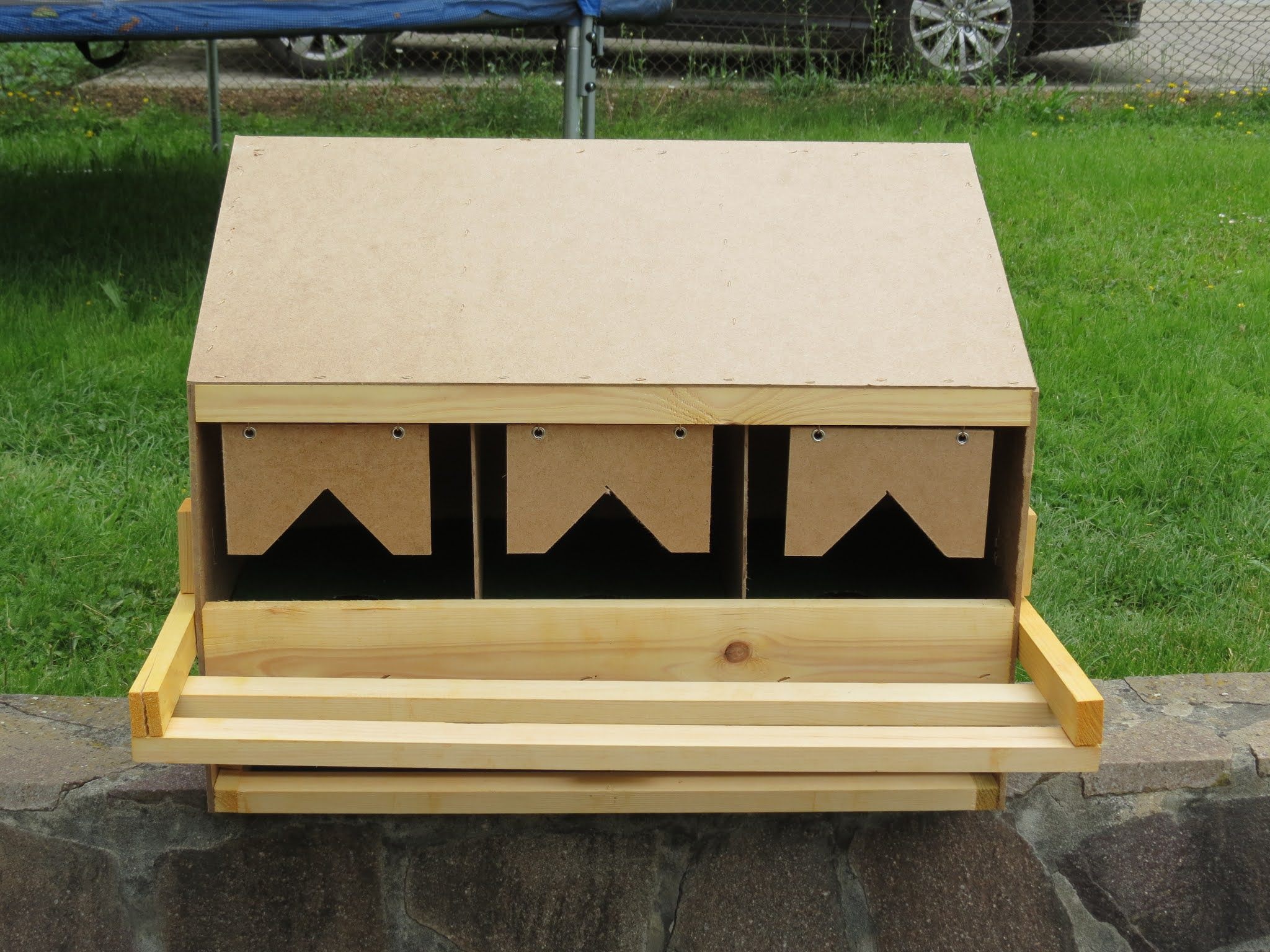 Sussex kokoši, Australorp kokoši, Chabo kokoši