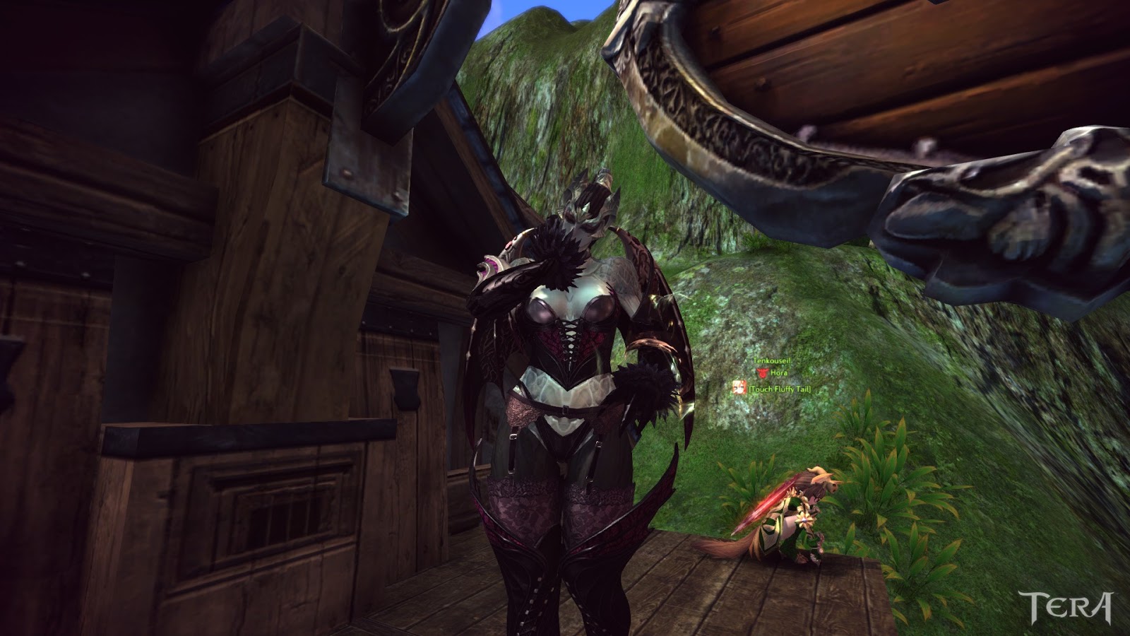 Tera Wardrobe: A note about the Steampunk Stockings mod and the ...