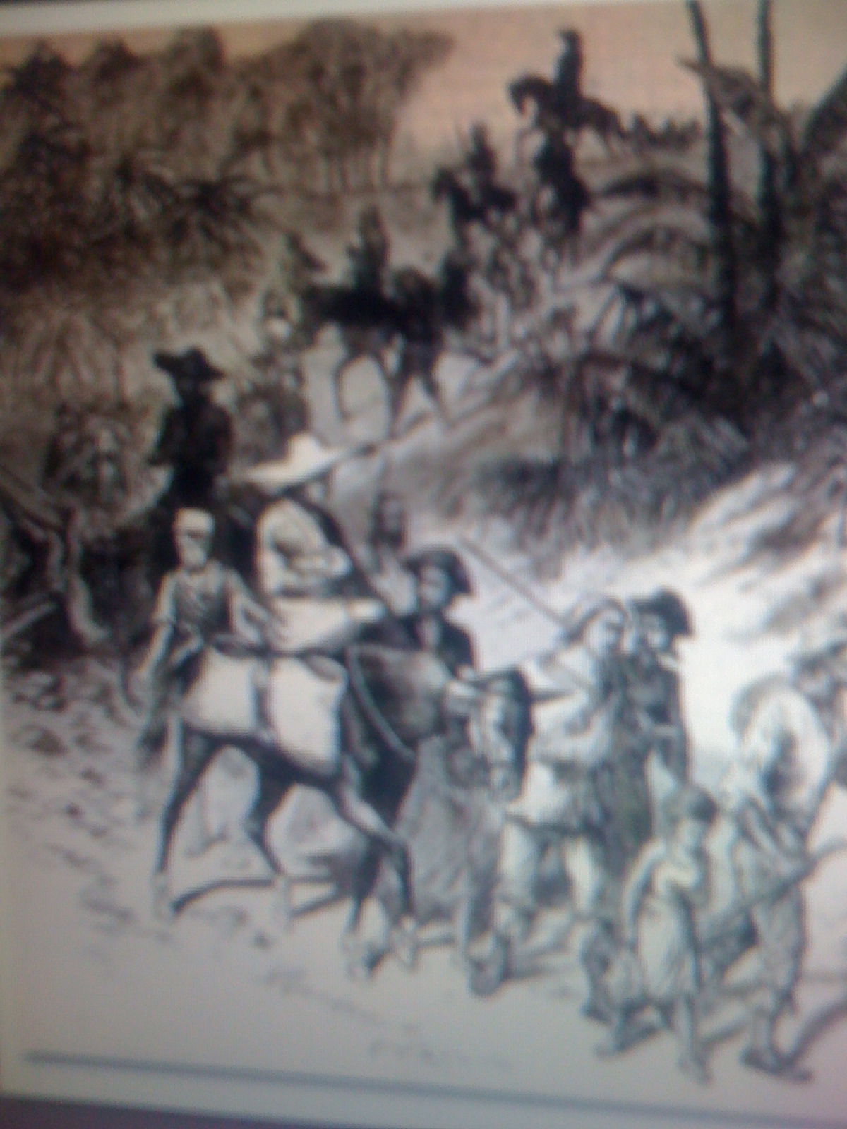 THE BLACK SOCIAL HISTORY:: BLACK SOCIAL HISTORY: SLAVE REVOLTS IN BRAZIL: