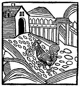 From the Furrows: Blogulations, by Farmer Angela Kidder!