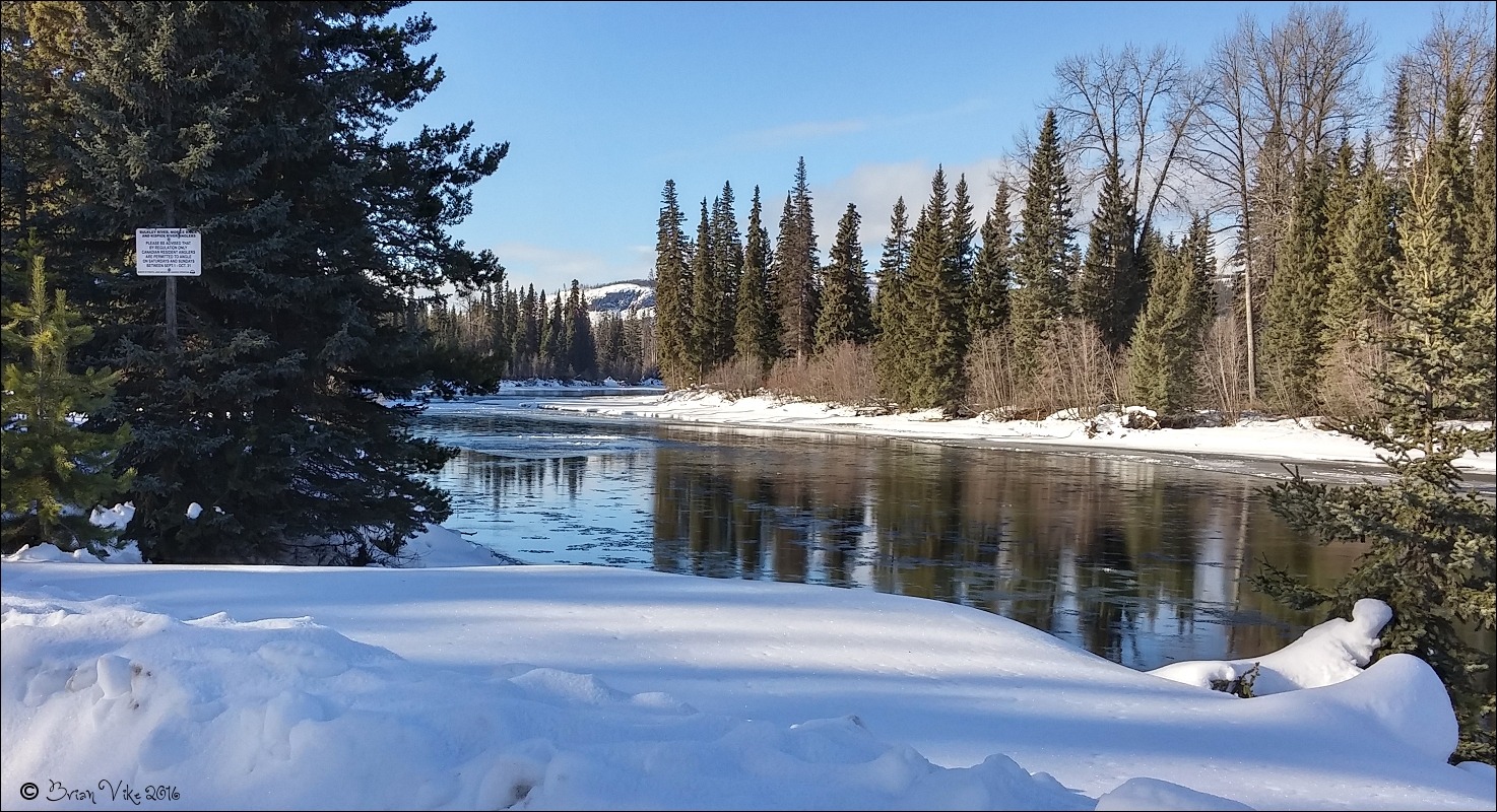 Northern Interior British Columbia: 2016 Winter On The Morice River ...
