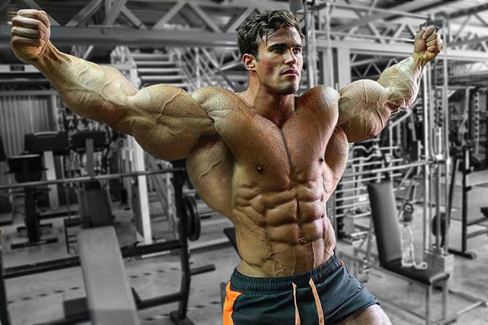 Muscle Bear Hairy: Morphs