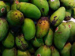 BAHAN PEMBELAJARAN SAINS........Bersama memahami sains: MAKANAN MUDAH ROSAK