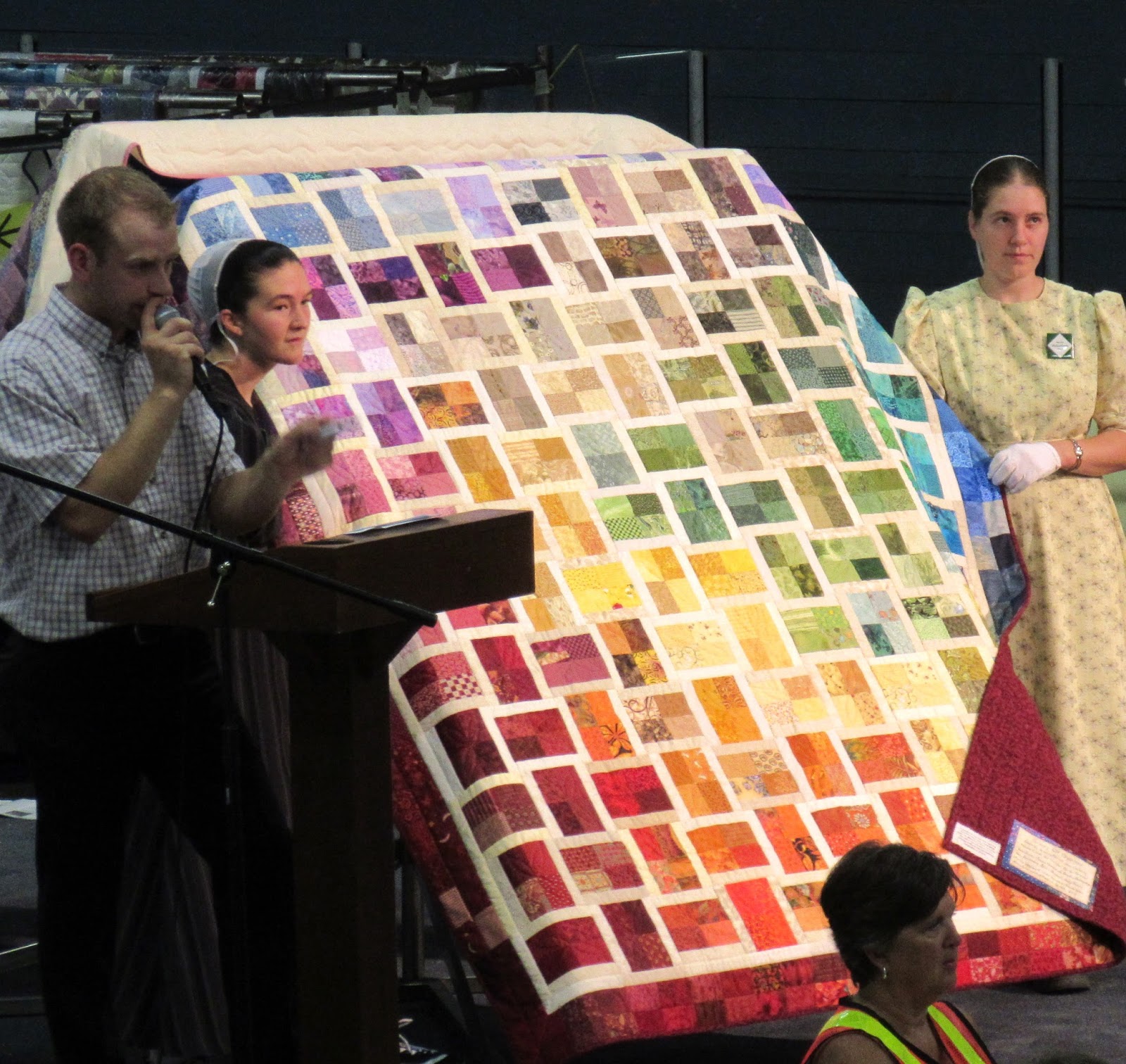 Kathy's Quilts: More about the quilt auction...