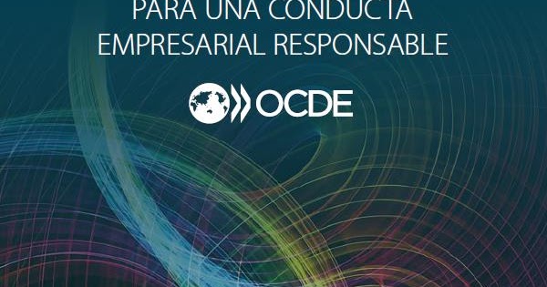 Mónica Teresita del Cerro: Guía de la OCDE de Debida Diligencia para ...