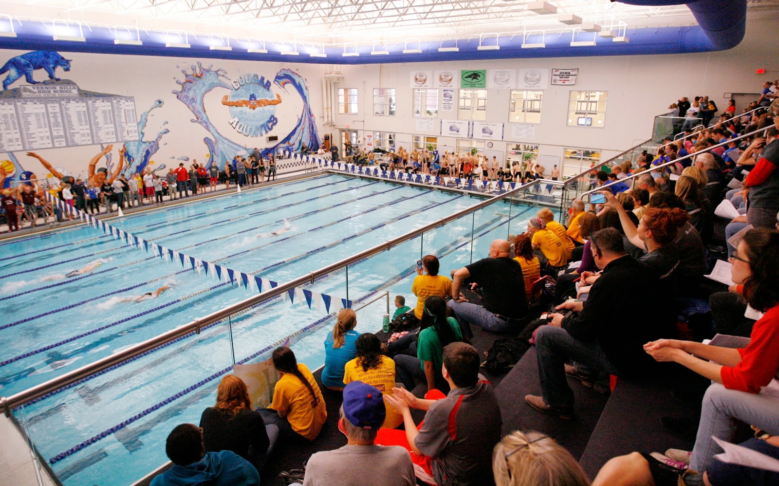 Mark Kodiak Ukena: IHSA Varsity Boys Swimming Sectionals
