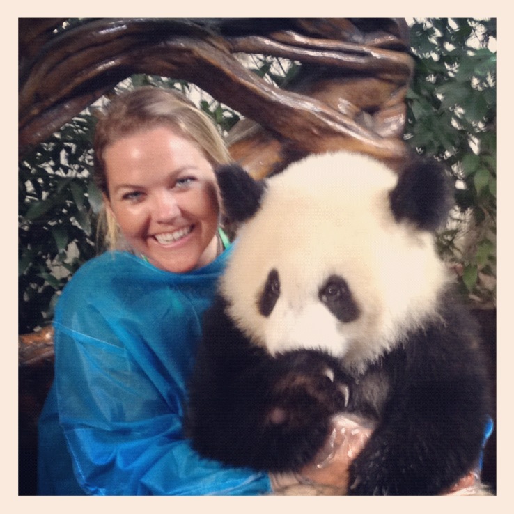 Julie's Overseas Adventures: Cuddling Giant Pandas in Chengdu