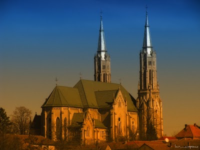 Ploaia de cuvinte: Gustul inconfundabil al ciocolatei Vinga