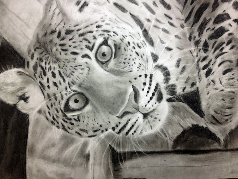 art @ the heart: Grade 10 Conte Drawings (AVI2O)