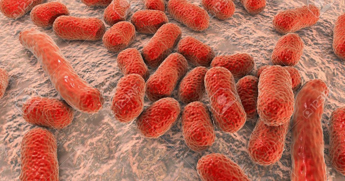 Pharmaceutical Microbiology