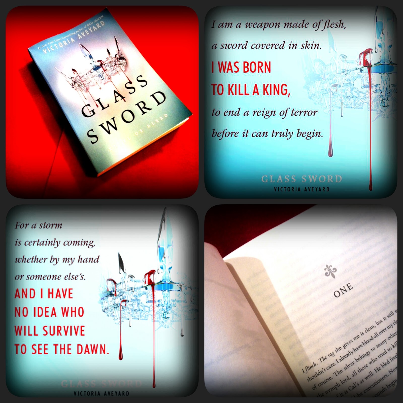 You May Say I'm A Reader: CURRENTLY READING (#12): GLASS SWORD (RED ...