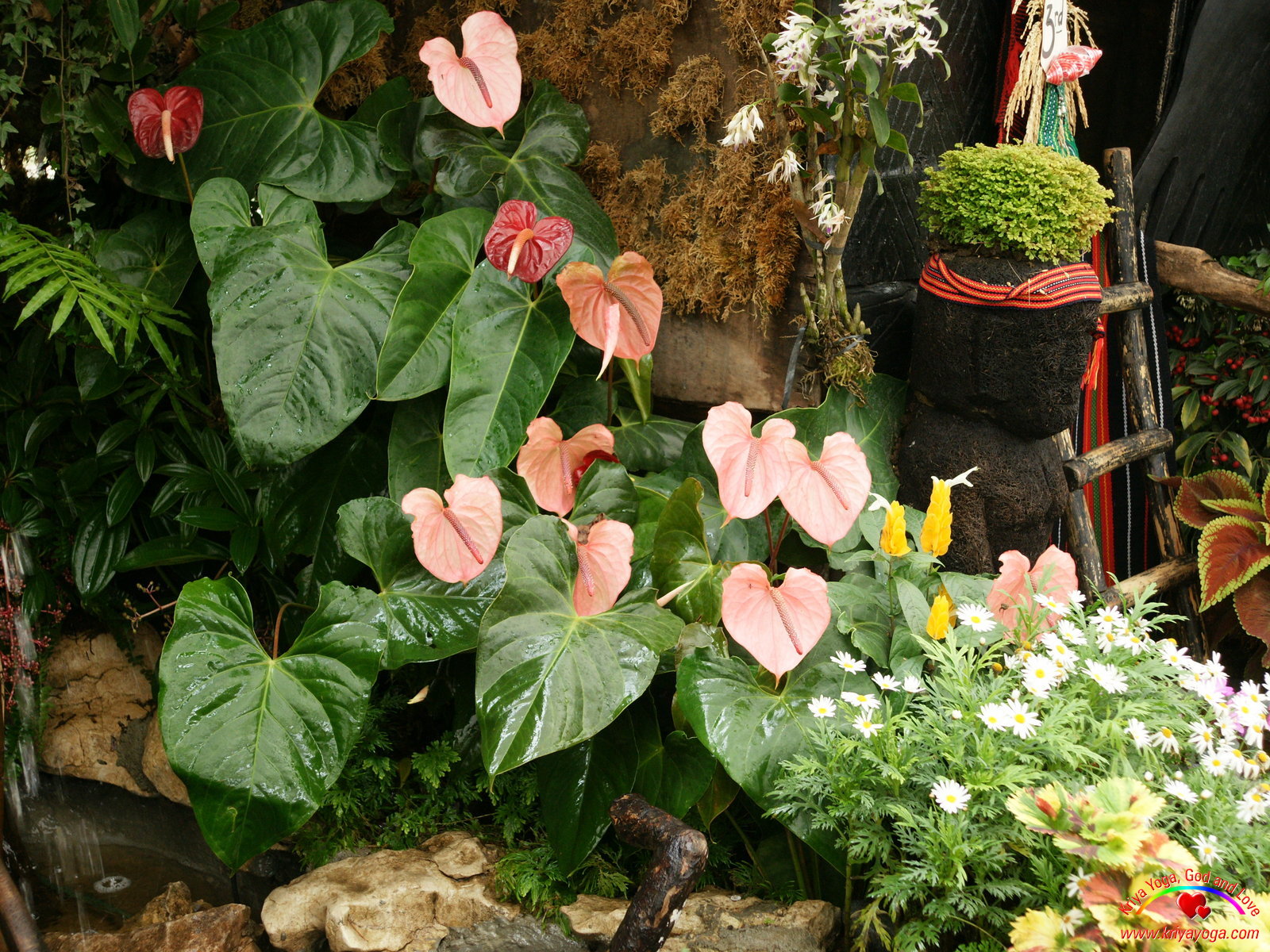 Jom Tanam Bunga: Hobi Seni Taman