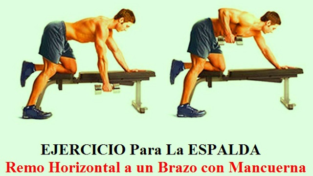EJERCICIO Para DORSALES: Remo Horizontal A Un Solo Brazo Con Mancuerna ...
