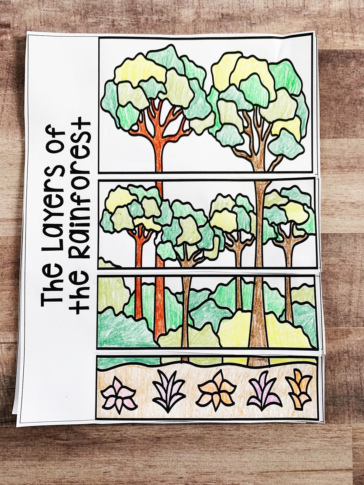 Rainforest ELA Unit for Kindergarten and 1st Grade | Busy Hands and Minds