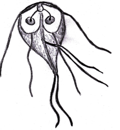 Atlas parasitología biologia sanitaria