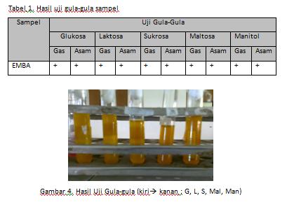 drh. Dewi Murni: Januari 2014
