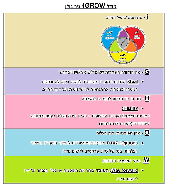 iGROW Model based Soulagogy