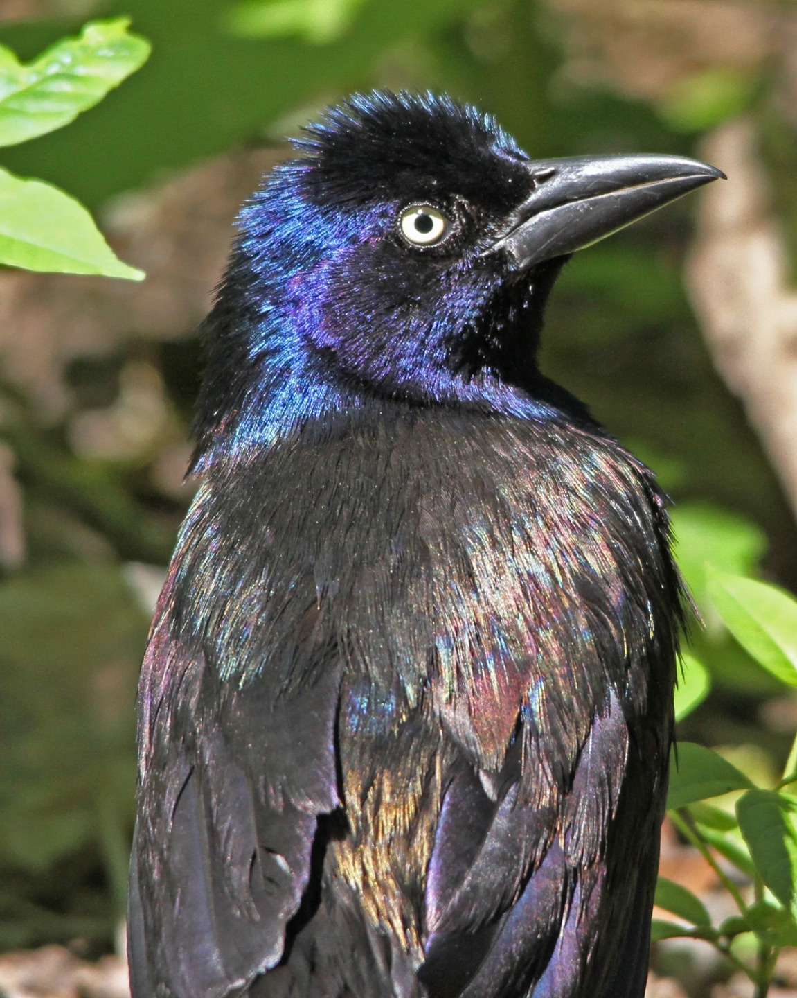 travelswithkathleen: July 2012