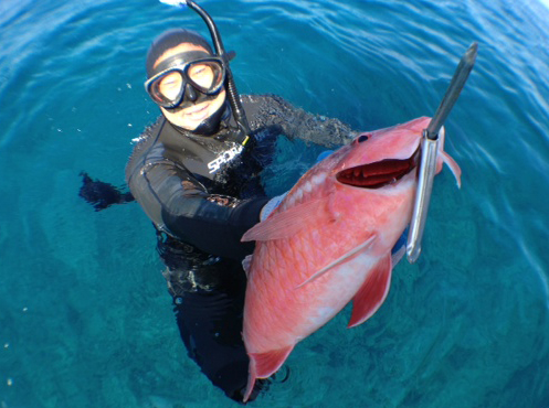 Red Sea Ocean Adventures: Kumu Kole Hunt