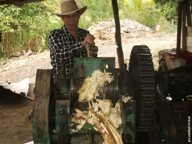 Guarapo, bebida tradicional de caña