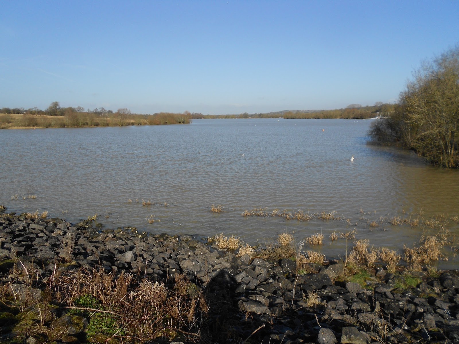 Tony's Blog: Byfield Pool and Boddington Reservoir.