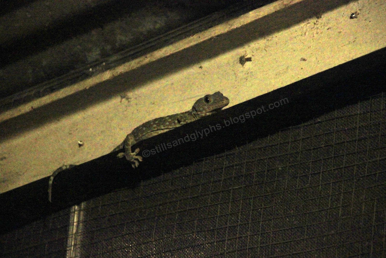 Stills and Glyphs: Pahinga Riverside Retreat House: the name says the Rest