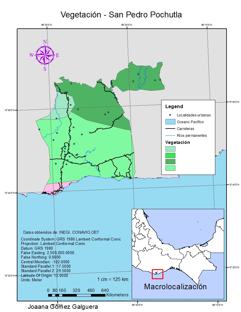 SAN PEDRO POCHUTLA, OAXACA.: INTRODUCCION.