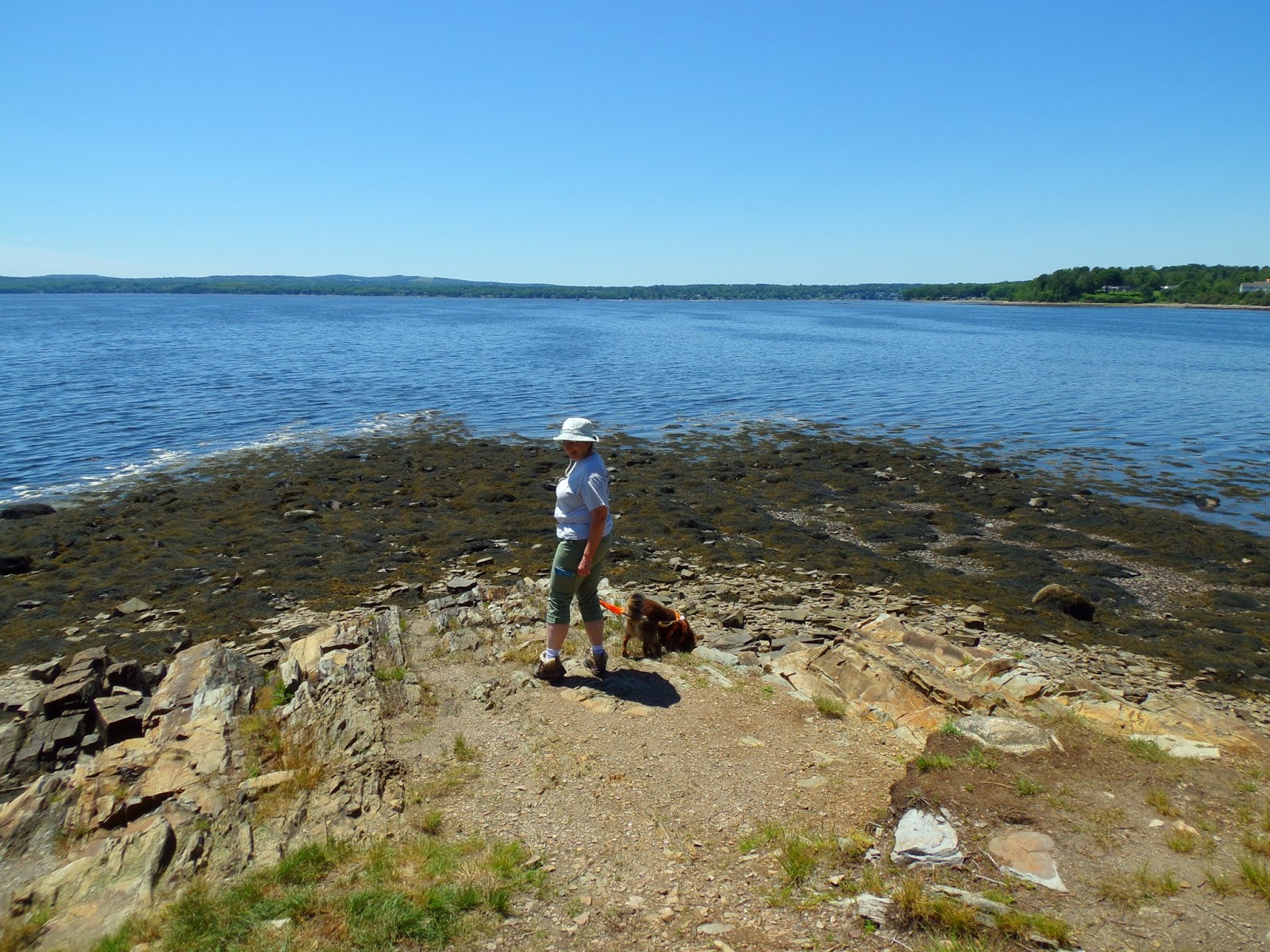 Moose Point State Park, Searsport, Maine - Fort Point State Park ...