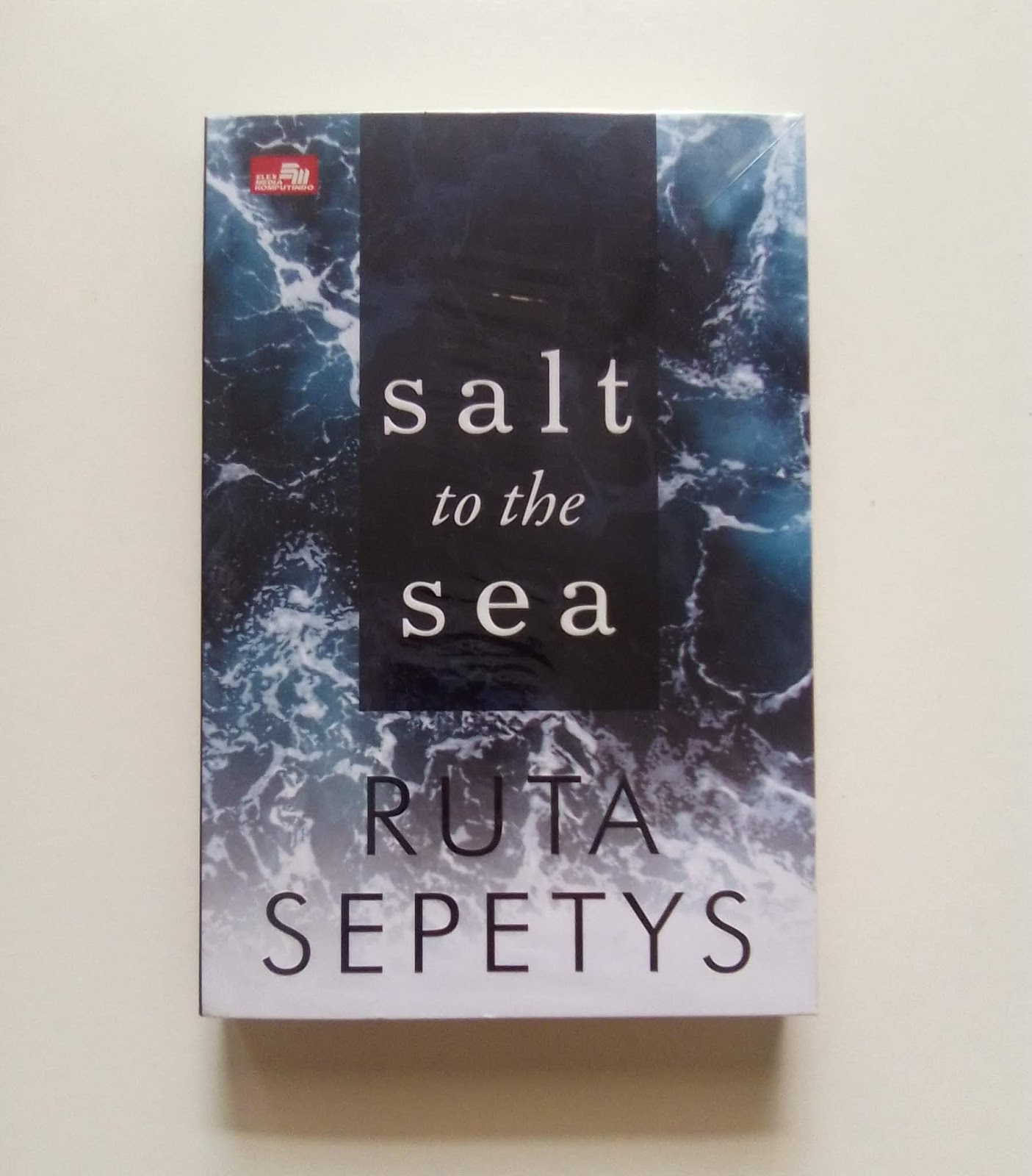 Resensi Buku: Salt to the Sea