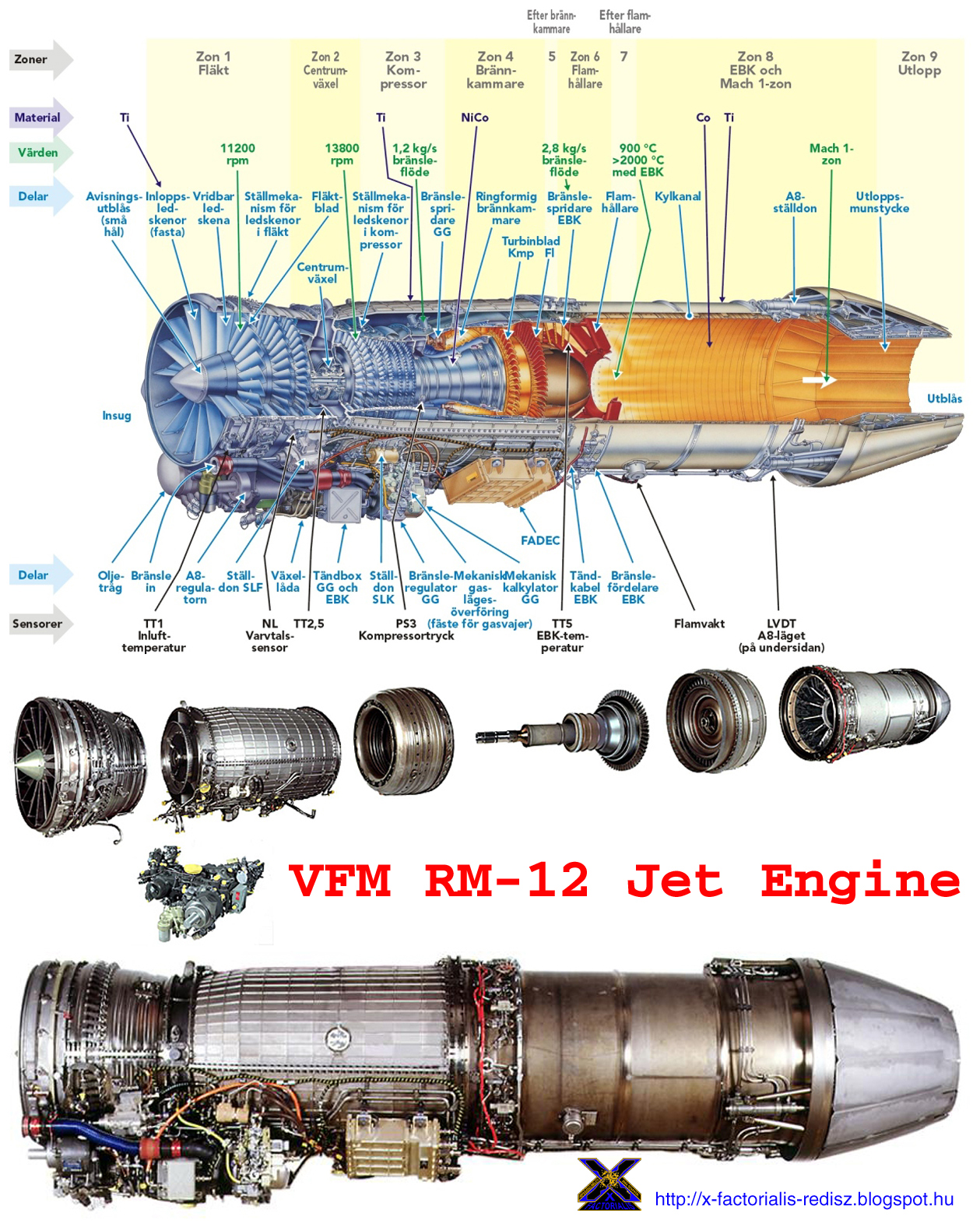 Szextant Blog "https://szextant.blogspot.com": 21.) Humavianatomy ...