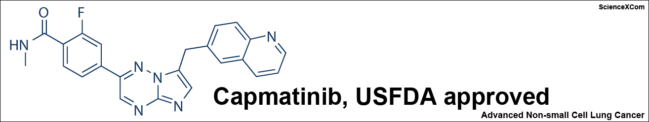 신규 전이성 비소세포 폐암 항암제 승인 (Capmatinib for Metastatic Non-Small Cell Lung ...