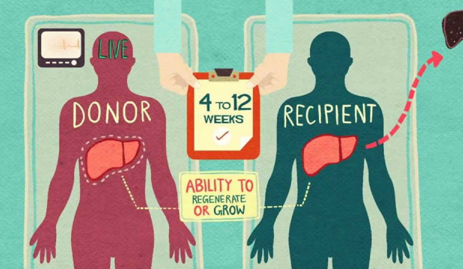 Organ Donation In Urdu Projects For Students organ-donation-in-urdu-projects-for-students