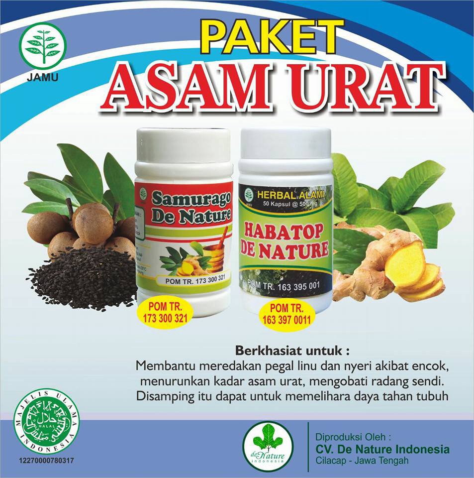 maruf DE NATURE: OBAT HEBAL ALAMI ASAM URAT