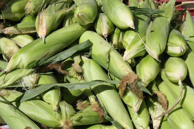 Sparrows & Spatulas: Sweet Home...Colorado: Sweet Corn Chowder