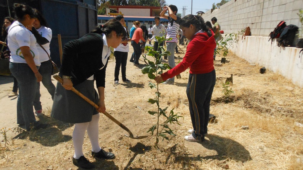 Forestación en Preparatoria Cetis 156 - Fundación Que Transforma