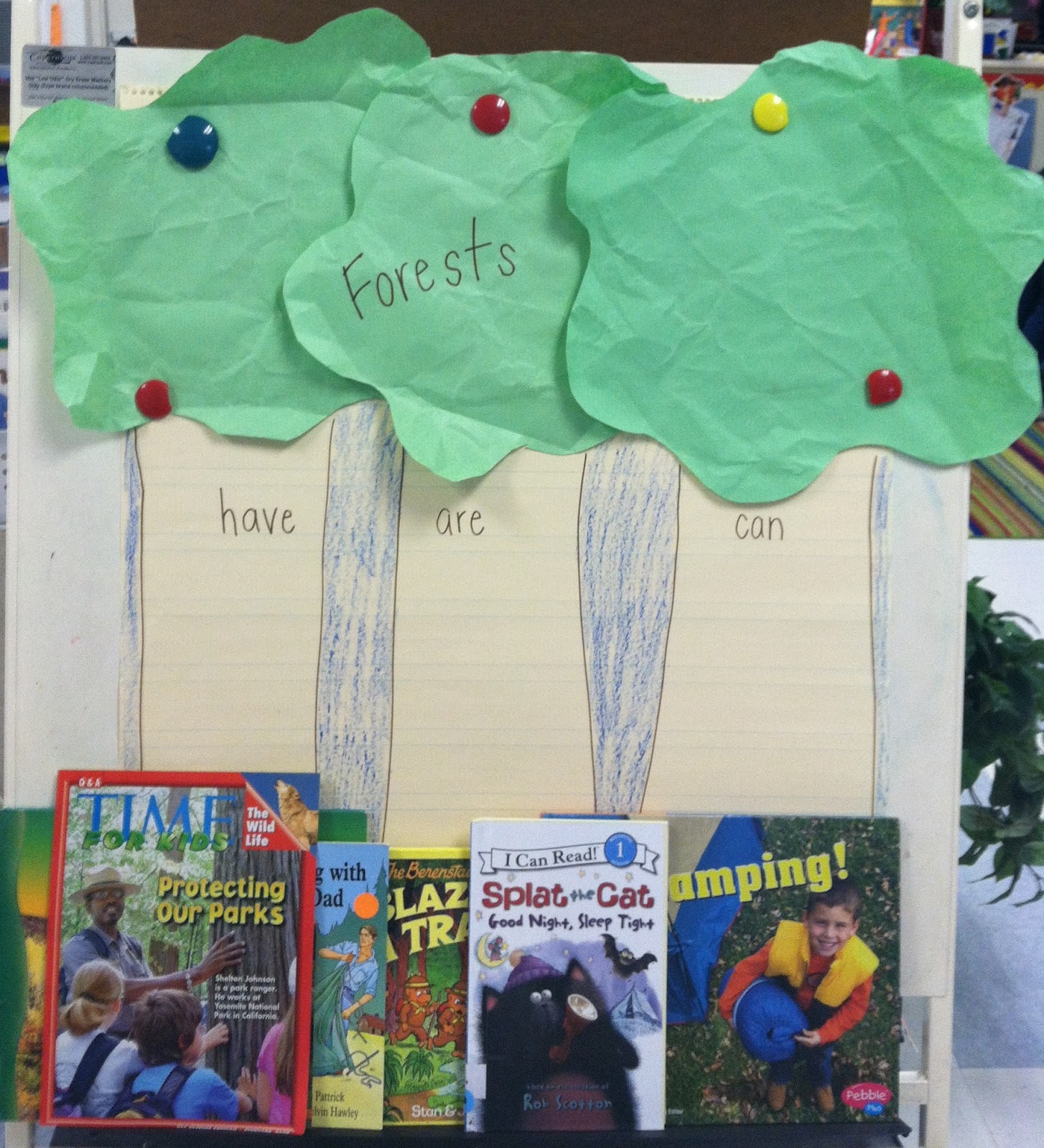 First Grade Fabulous Fish: We are ready for a FOREST EXPEDITION!!