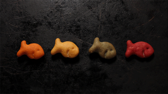 The 99 Cent Chef: December 2020