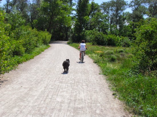 Boston Handmade: What you can do when you're feeling stuck