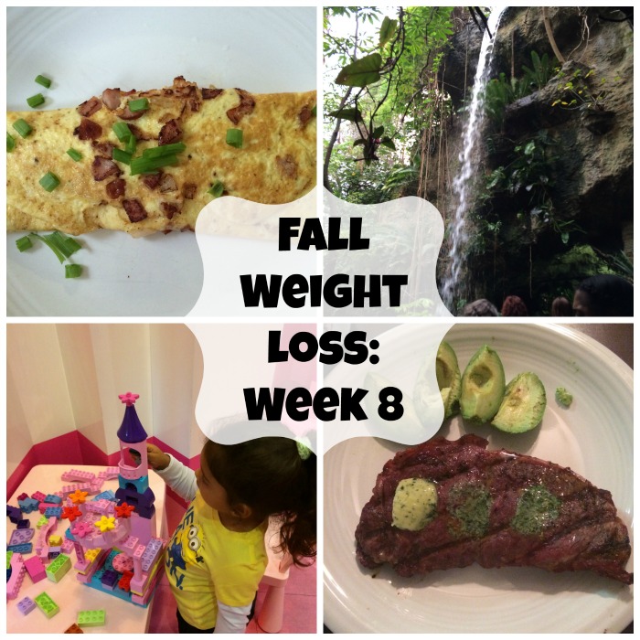 Fall Weight Loss: Week 8 - First Time Mom and Losing It