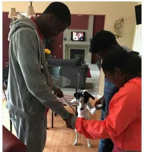 How To Easily Teach Your Dog To Pray - Doglopedix