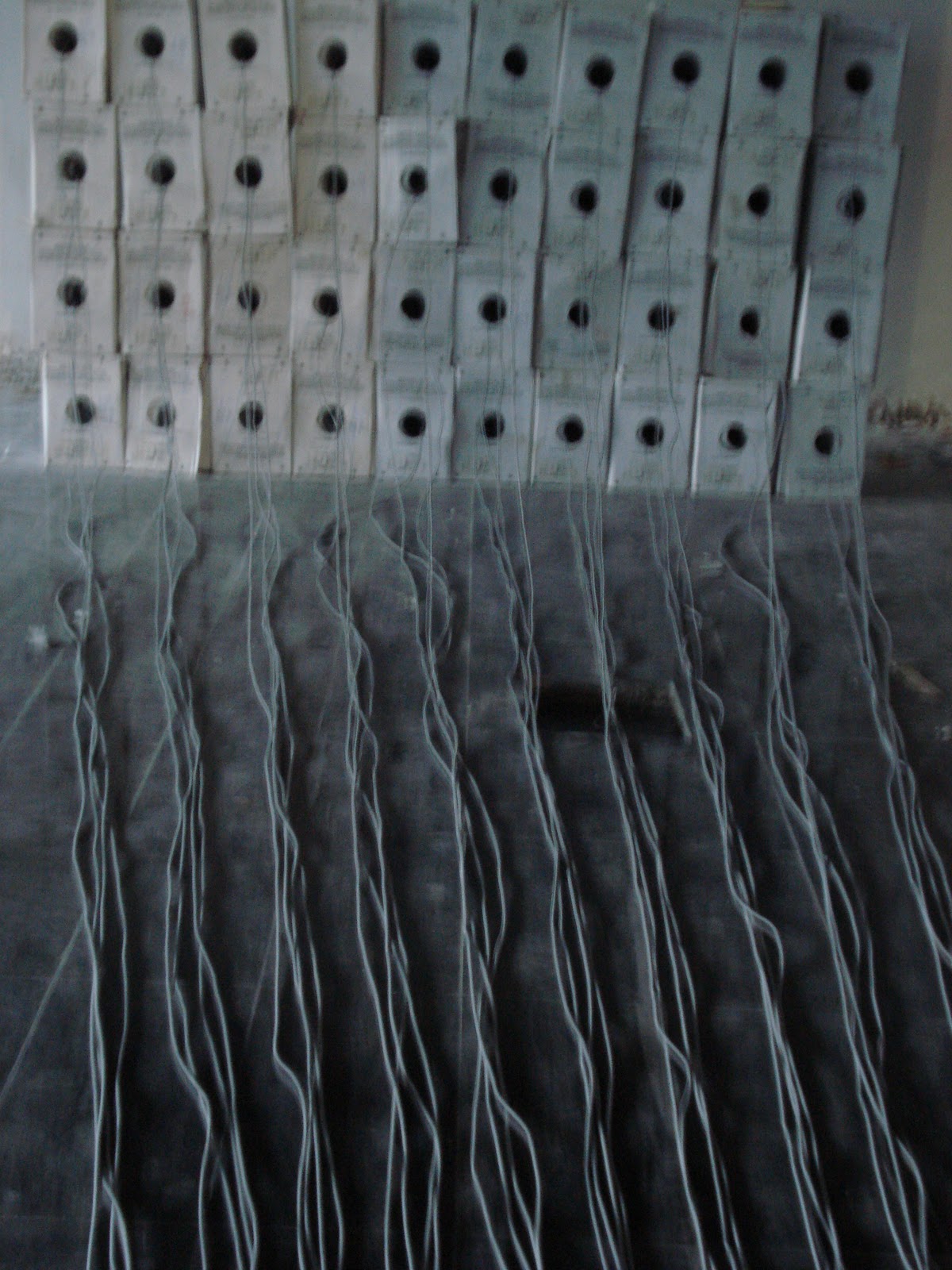 Idealsite Technologies (NT) Private Limited: Cable Laying & Termination