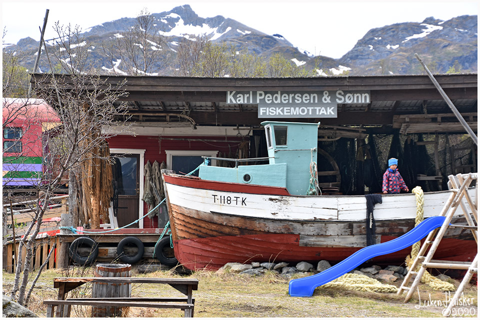 NORGE.nl: Senja - Senjatrollet (Finnsæter i Berg) #2 Trollhier