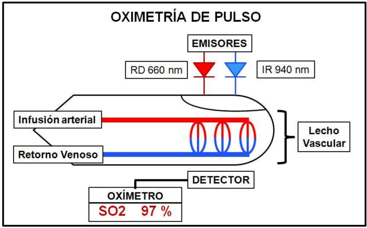 ¿Qué es y cómo funciona un pulsioxímetro u oxímetro de pulso?