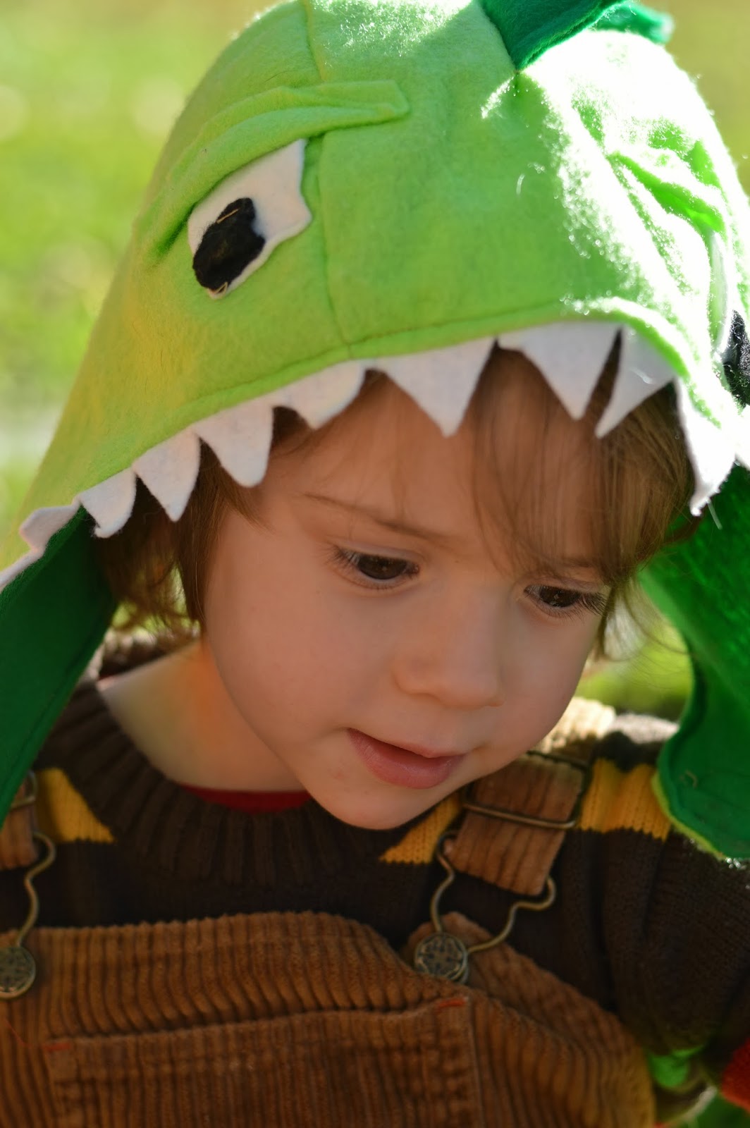 Musings on the Simple Life: The Costumes