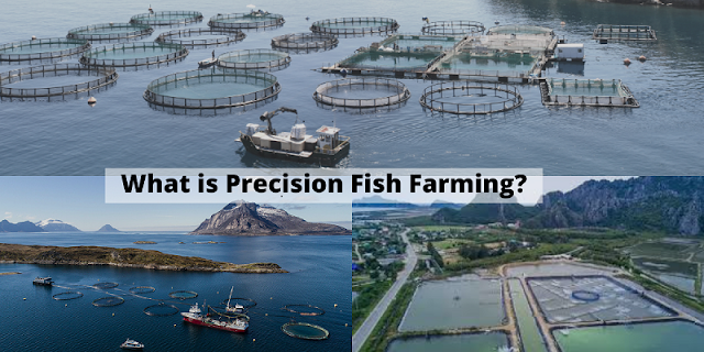Precision Fish Farming: A New Framework to Improve Aquaculture