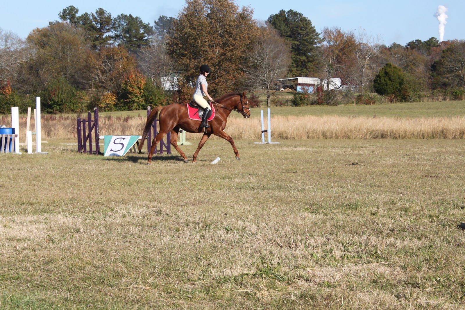 Springstone Horses: Suppleness - Using a Jumping Exercise to Improve ...