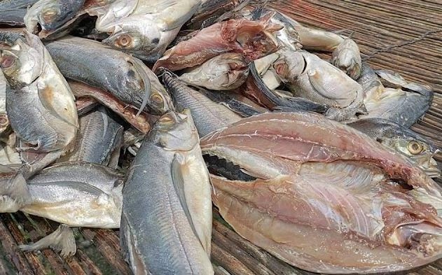 Jejak: PERBEZAAN IKAN BEKOK DENGAN IKAN KERING