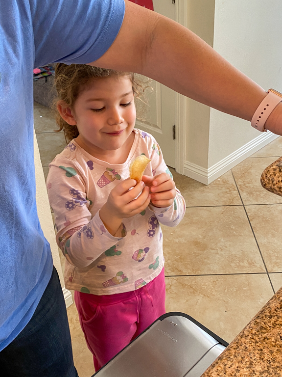 Tales of the Flowers: Parmesan & Roasted Garlic Pringles - Homemade ...